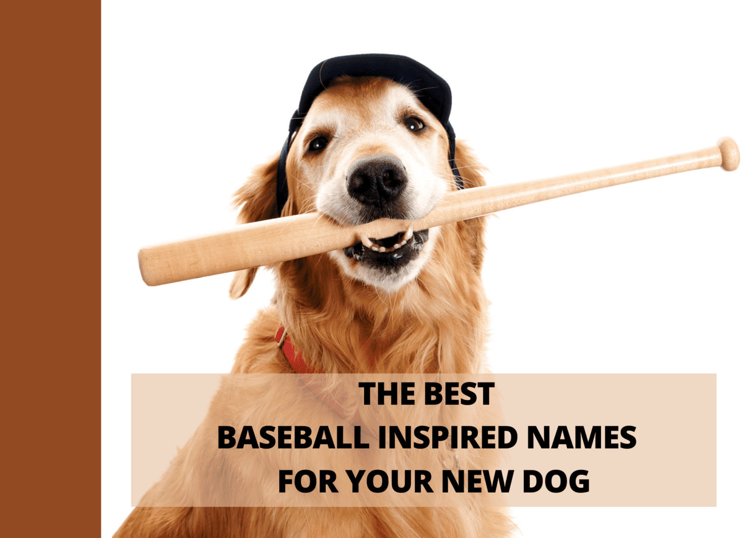 Score Big with These Epic Baseball Team Names