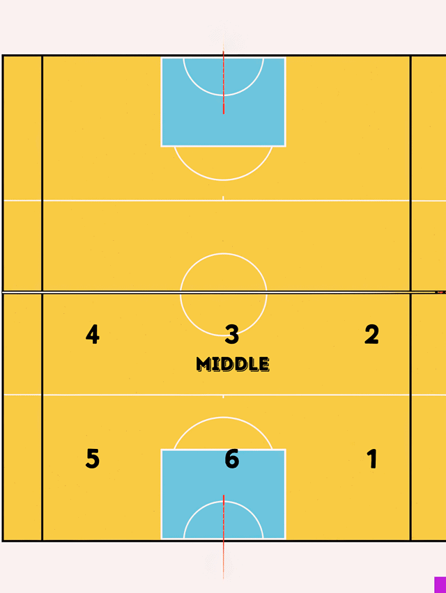 Discover Volleyball: Player Positions and Roles Explained