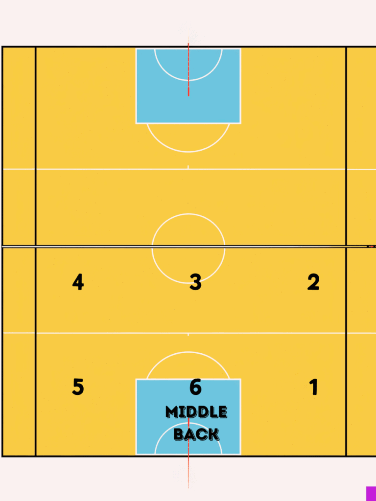 Discover Volleyball: Player Positions and Roles Explained