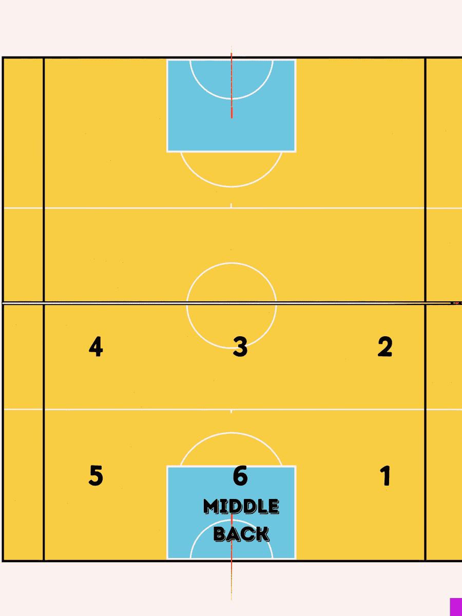 Discover Volleyball: Player Positions and Roles Explained