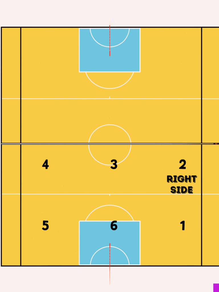 Discover Volleyball: Player Positions and Roles Explained