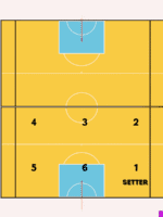 Discover Volleyball: Player Positions and Roles Explained