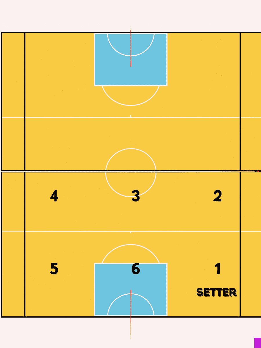 Discover Volleyball: Player Positions and Roles Explained