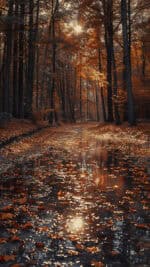 Ready for Fall? 100+ Stunning Wallpapers to Download Now!