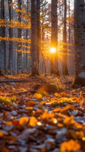 Ready for Fall? 100+ Stunning Wallpapers to Download Now!