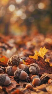 Ready for Fall? 100+ Stunning Wallpapers to Download Now!