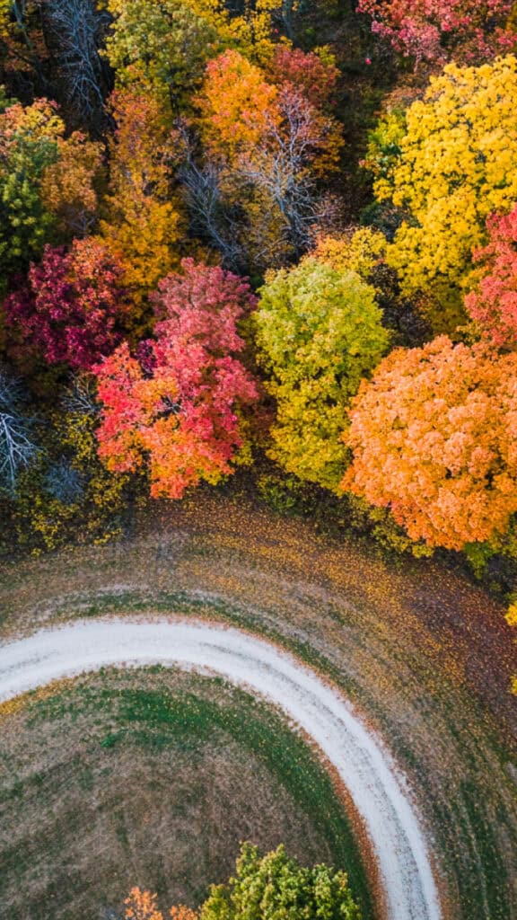 Ready for Fall? 100+ Stunning Wallpapers to Download Now!