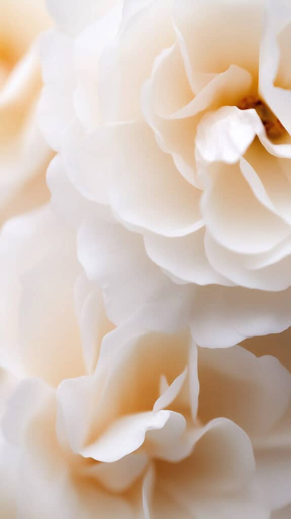 400+ Free Spring Phone Wallpapers You’ll Be Obsessed With!